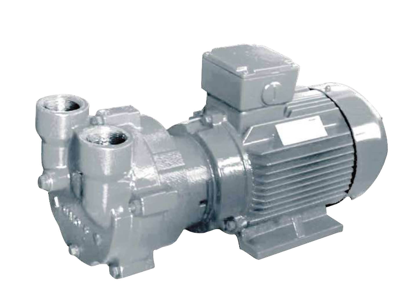 ELMO RIETSCHLE – LIQUID RING – 2BV & 2BE – Continuum Sdn. Bhd.